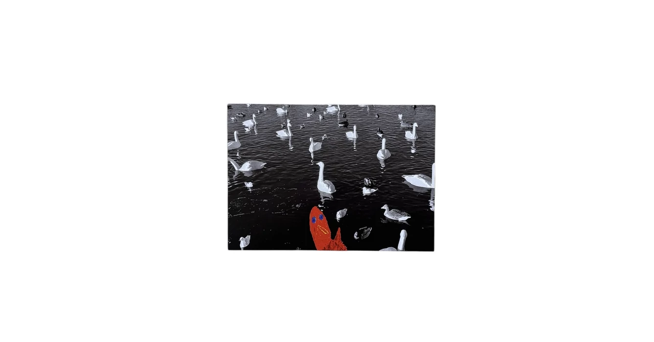 Ducks - Képeslap - Autistic Art Webshop